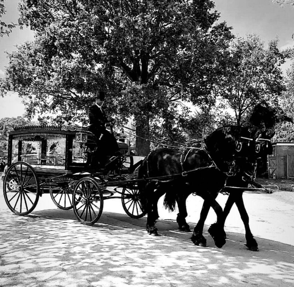 Horse Drawn Funerals | P.L. Mulligan Family Funeral Directors
